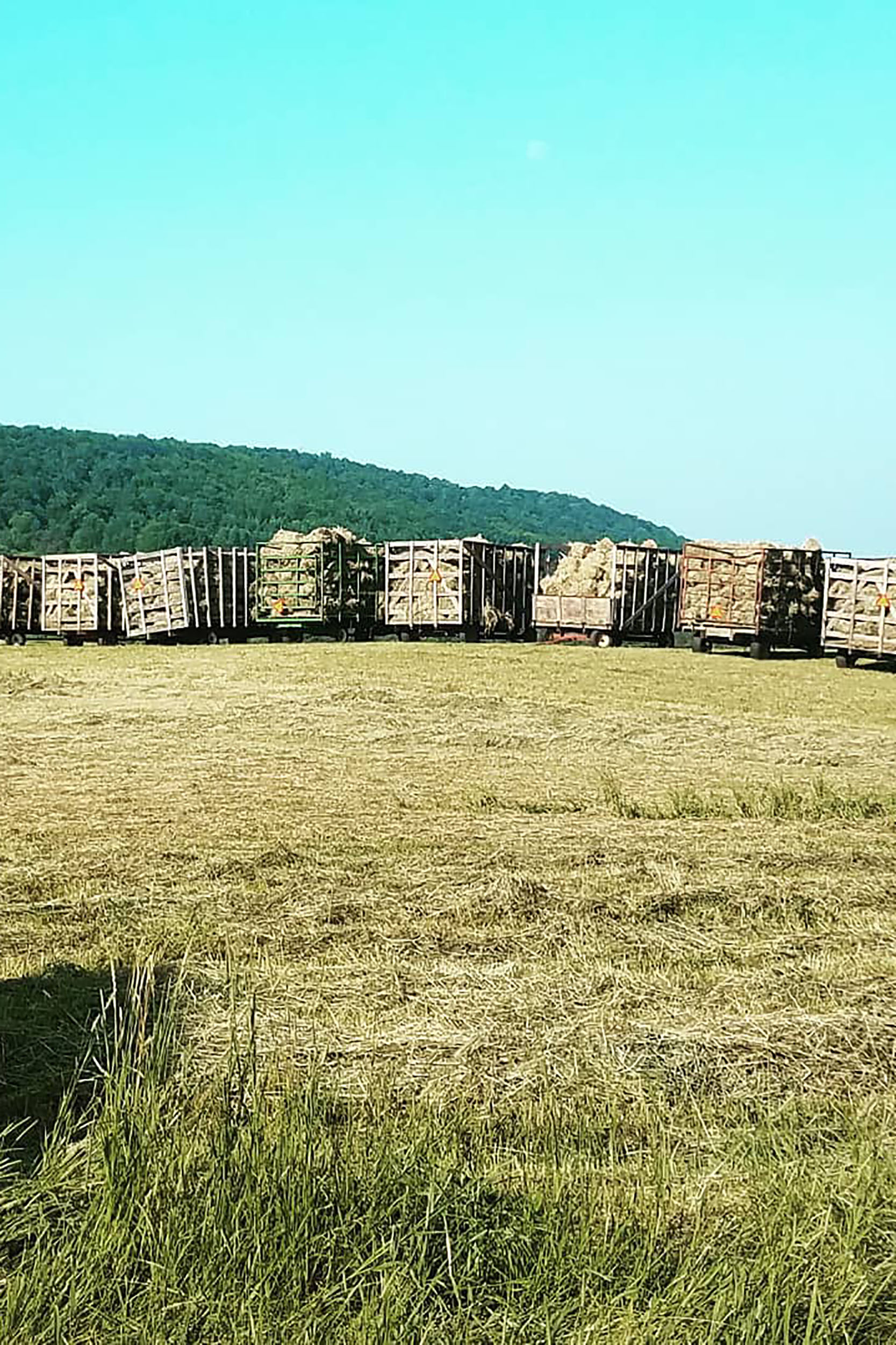 M.Y. Farm – Our family farm in the heart of New York